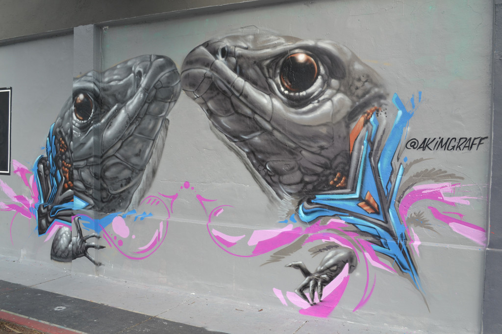 AKIM… graffiti desde el relato - Nagari